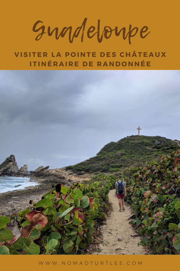 Visiter la Pointe des Châteaux en Guadeloupe - Nomad Turtles