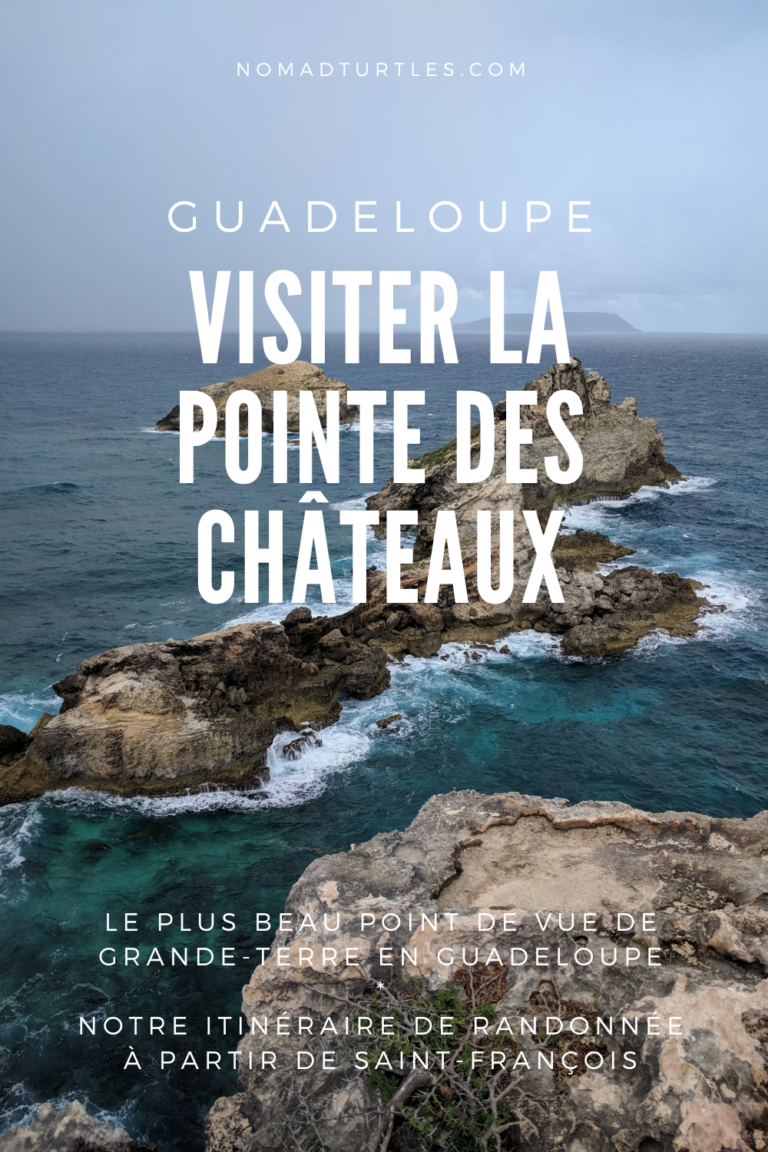 Visiter la Pointe des Châteaux en Guadeloupe - Nomad Turtles