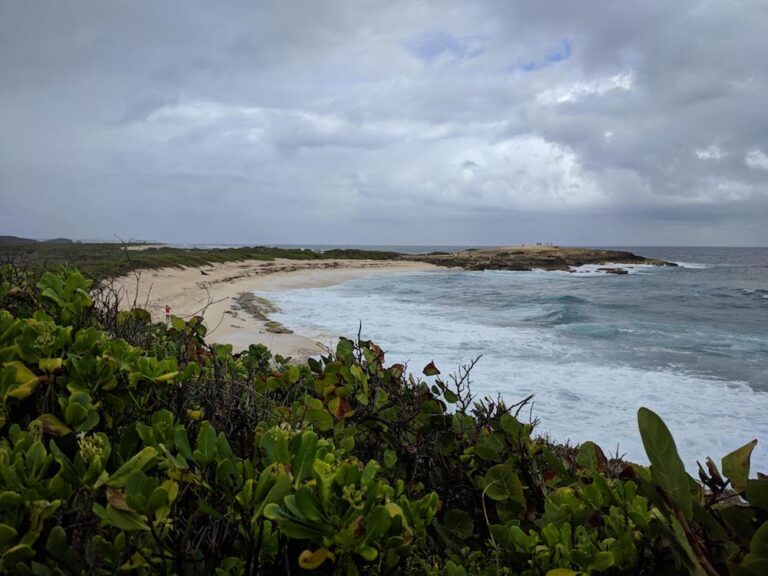 Visiter la Pointe des Châteaux en Guadeloupe - Nomad Turtles