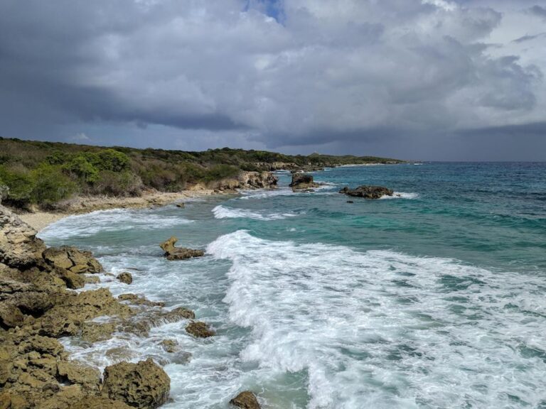 Visiter la Pointe des Châteaux en Guadeloupe - Nomad Turtles
